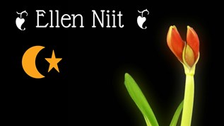 Ellen Niit at emaze Presentation