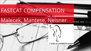 FastCat Compensation at emaze Presentation