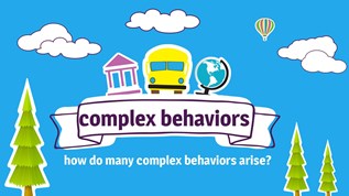 COMPLEX BEHAVIORS at emaze Presentation