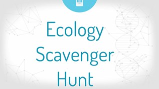 Ecology Scavenger Hunt at emaze Presentation