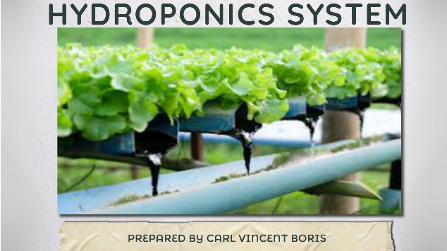 HYDROPONICS PRESENTATION at emaze Presentation
