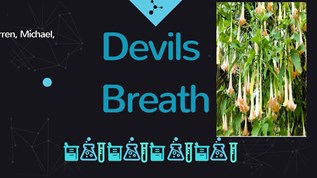 devils breath at emaze Presentation