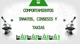 Presentation Name at emaze Presentation