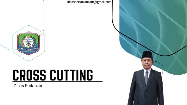 CROSS CUTTING at emaze Presentation
