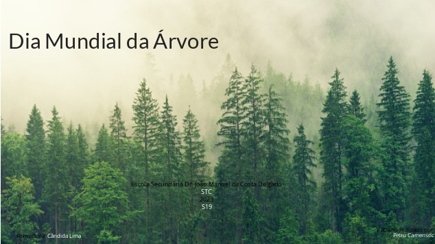 The forest at emaze Presentation