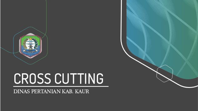 CROSS CUTTING at emaze Presentation