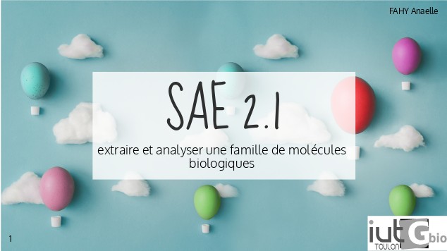 SAE 2.1 at emaze Presentation