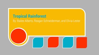 Tropical Rainforest at emaze Presentation