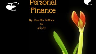 Personal Finance at emaze Presentation