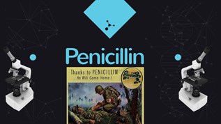 Penicillin Presentation at emaze Presentation