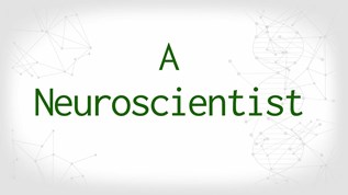 Neuroscience at emaze Presentation