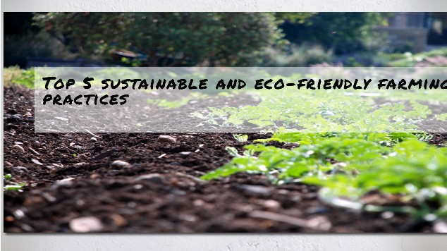 Top 5 sustainable and eco-friendly farming practices at emaze Presentation