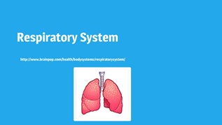 1 Respiratory System Pptx At Emaze Presentation