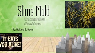 BIology at emaze Presentation