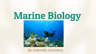 Marine Biology at emaze Presentation
