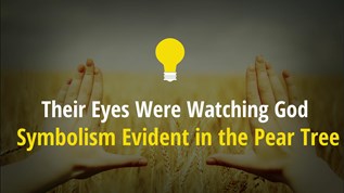 TEWWG at emaze Presentation