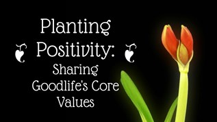 Goodlife Fitness Core Values at emaze Presentation