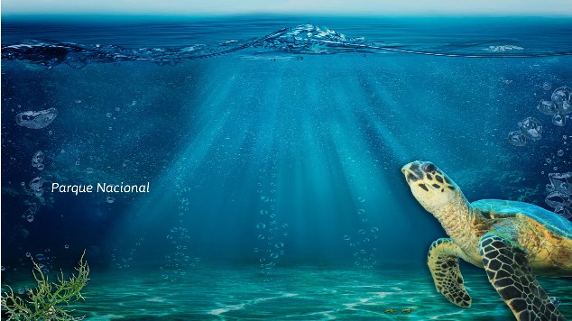 Under the Sea at emaze Presentation