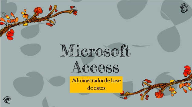 Microsoft Access at emaze Photo Album
