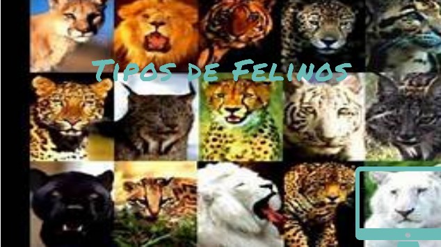 Flame at emaze Presentation