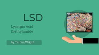 LSD at emaze Presentation