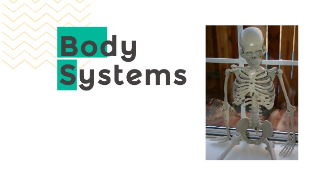 Body Systems at emaze Presentation