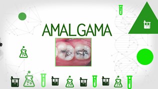 Amalgama at emaze Presentation