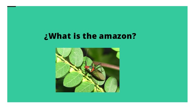 Facts at emaze Presentation