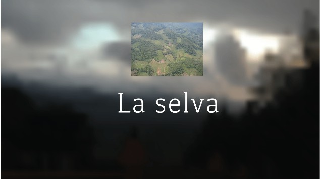 La selva at emaze Presentation