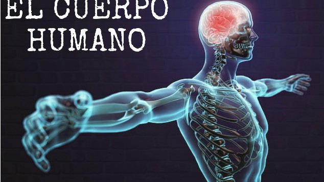 Cuerpo Humano At Emaze Presentation