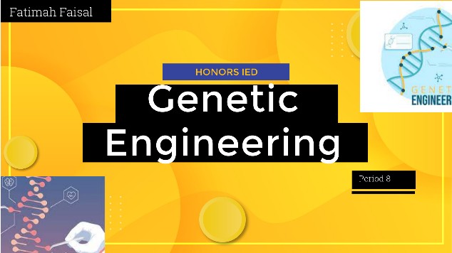 Dynamic Organization at emaze Presentation