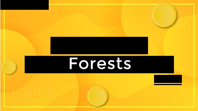 Tropical Forests at emaze Presentation