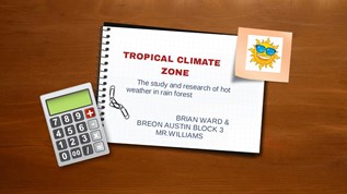 TROPICAL ZONE at emaze Presentation