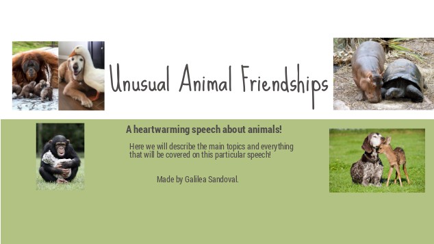 Unusual Animal Friendships at emaze Presentation