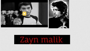 Zayn at emaze Presentation