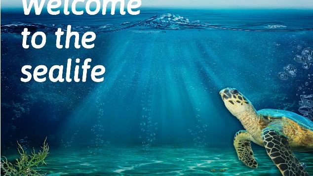 WELCOME to the Sealife at emaze Presentation