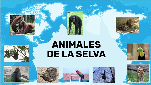 ANIMALES DE LA SELVA at emaze Presentation