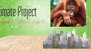 Primate Project at emaze Presentation