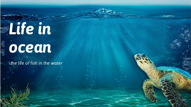 Life in ocean at emaze Presentation