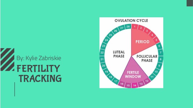 Fertility Tracking at emaze Presentation
