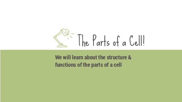 The Parts of a Cell! at emaze Presentation