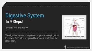 The System Of Digestion! at emaze Presentation