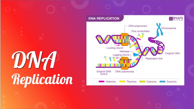 DNA at emaze Presentation