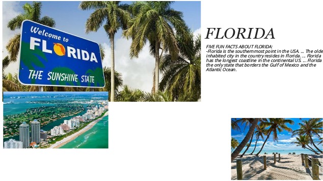 FLORIDA at emaze Presentation