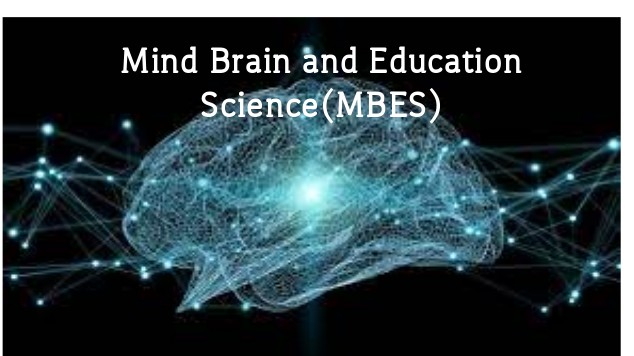 Mind Brain and education science(MBES) at emaze Presentation