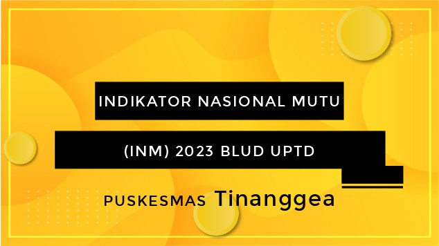 INDIKATOR NASIONAL MUTU (INM) at emaze Presentation