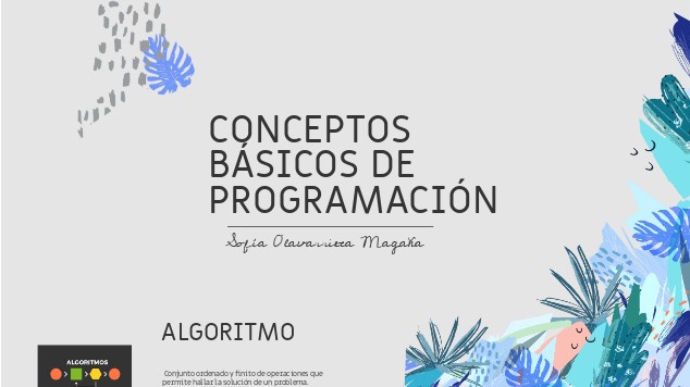 Conceptos de Programación Sofía Olavarrieta on emaze