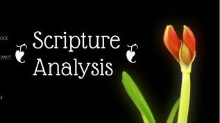 Scripture Analysis at emaze Presentation