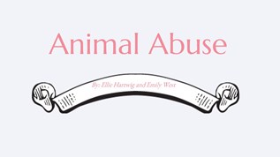 animal abuse at emaze Presentation