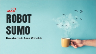 Sumo Robot at emaze Presentation